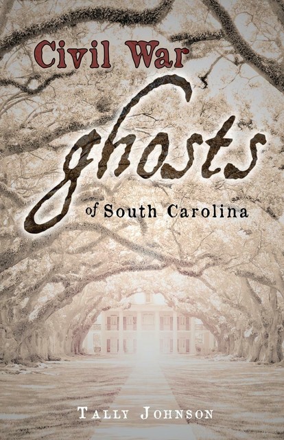 Civil War Ghosts of South Carolina von Tally Johnson (2020, Taschenbuch ...