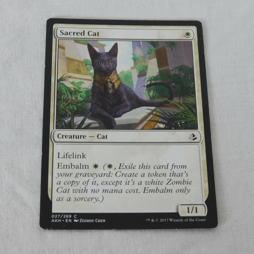 Sacred Cat MTG 2017 White Creature Cat 027/269 Amonkhet Common Trading ...
