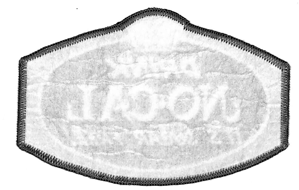 "Drink No-Cal" It's Sugar Free! Embroidered Soda Patch c1955-65 VGC Scarce | eBay