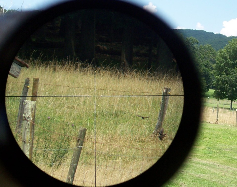 Leupold 10x40mm A.O. Target Varmint Rifle Scope 1976 Minty | eBay