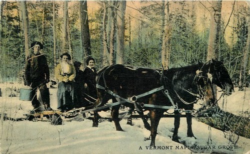 Artist impression 1914 Vermont Maple Sugar Grove Postcard 20-12918 | eBay