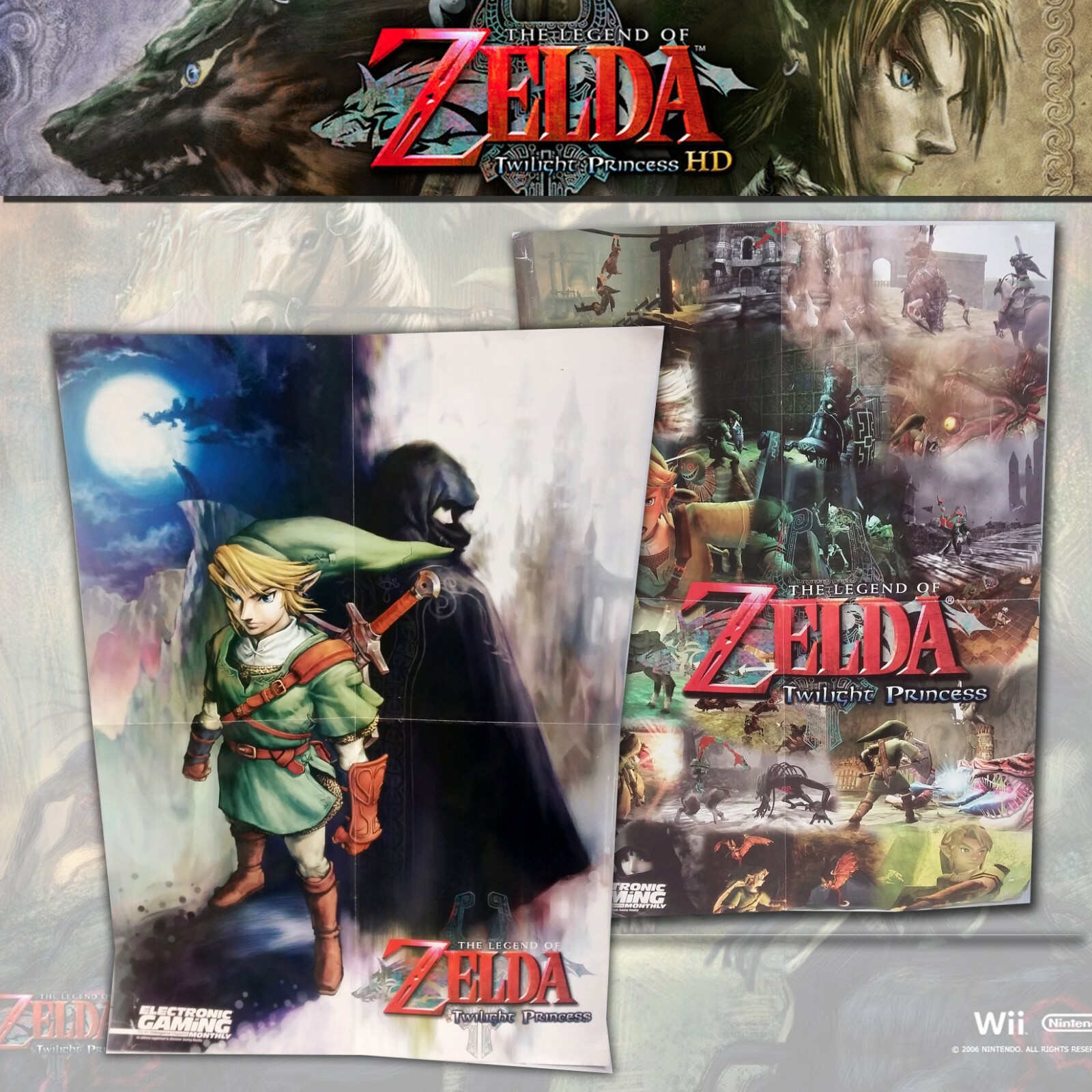 Twilight Princess Poster