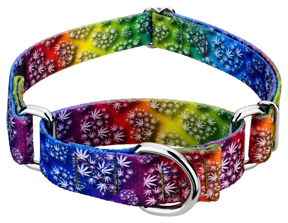 Country Brook Petz® Martingale Dog Collar - Groovy Collection | eBay