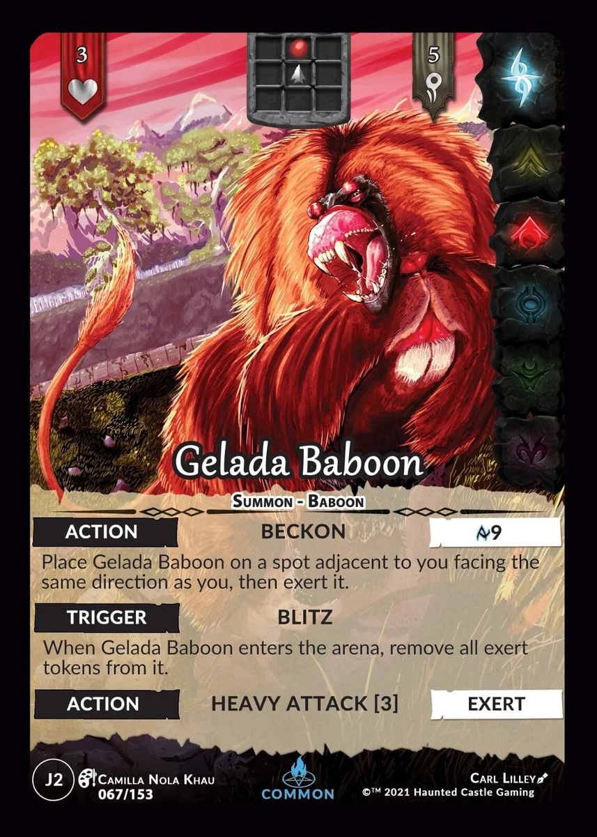 Gelada Baboon Attack