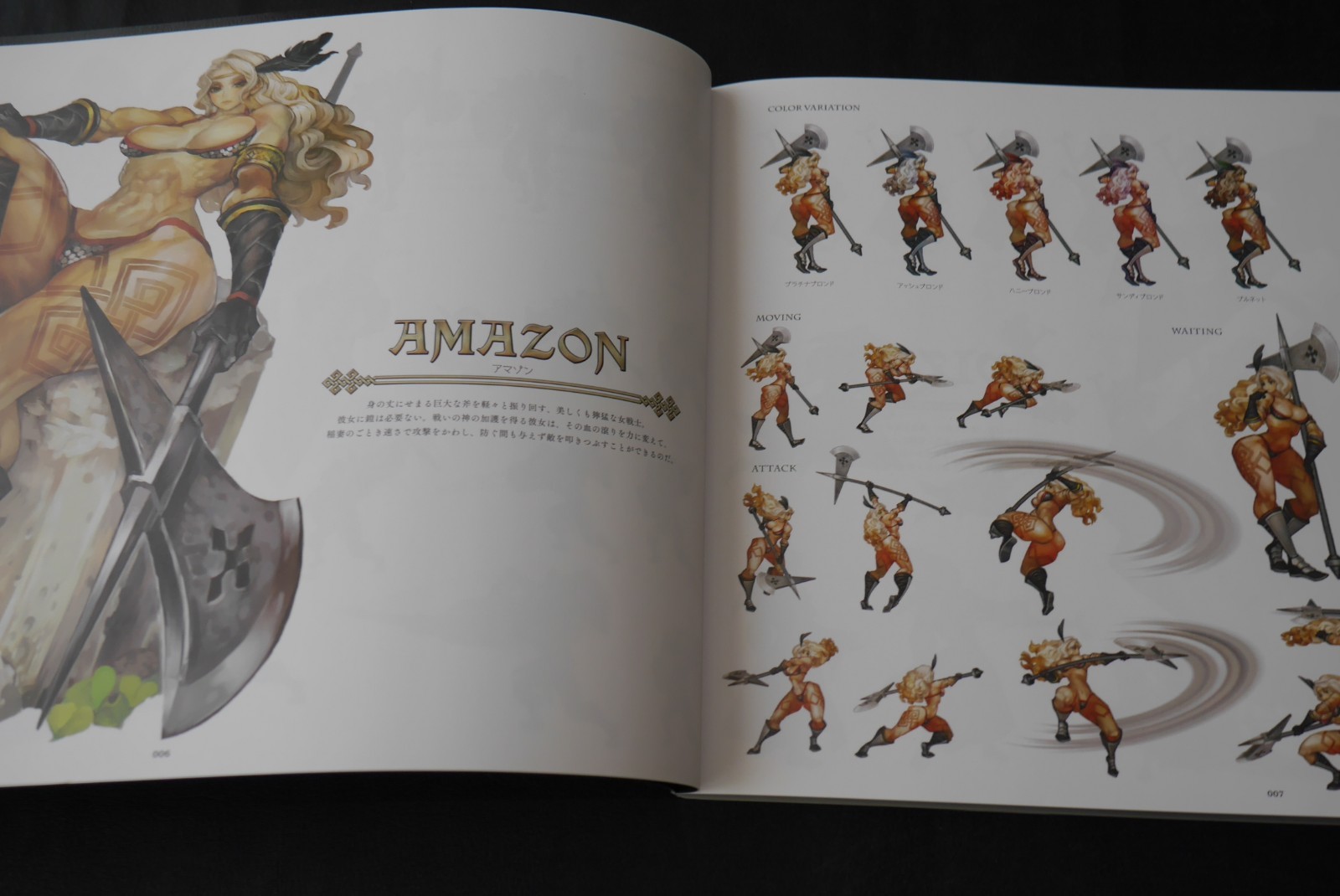 JAPAN Dragon's Crown Art Book | eBay