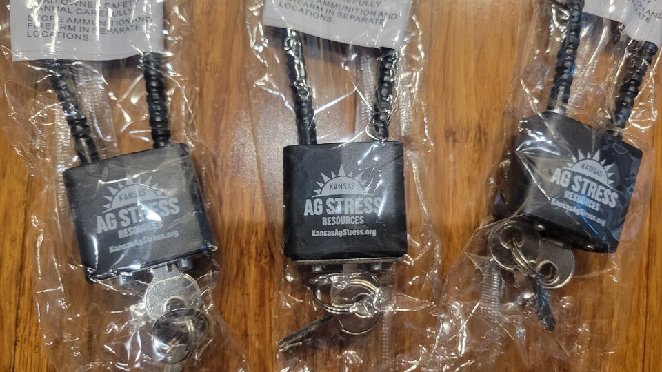 Lot of 3 Cable Gun Lock Pistol Shotgun Rifle Child Safety Locks | eBay