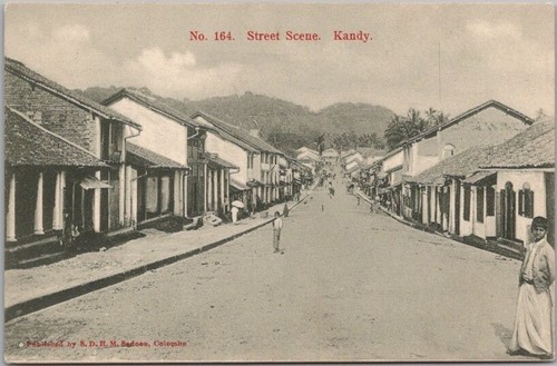 Vintage 1910s KANDY, SRI LANKA Ceylon Postcard "Street Scene" Houses / Unused | eBay