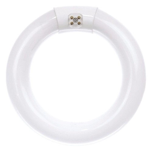 S6501 FC8T9/D/RS 8-Inch Fluorescent Circline 22W T9 4-Pin G10q 6500K ...