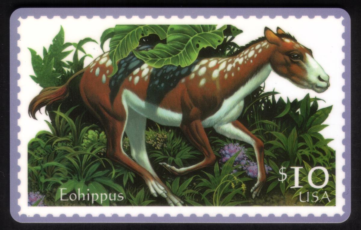 Eohippus Pictures To Pin Eohippus