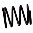 FASS Fuel System PS-1001 16-18 PSI Pressure Spring Base Spring