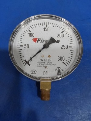 FIRELINE 111.10SP.100 Water Pressure Gauge for Fire Protection, 0 ...
