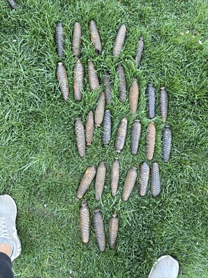 Cuckoo Clock Acorn Weights | eBay