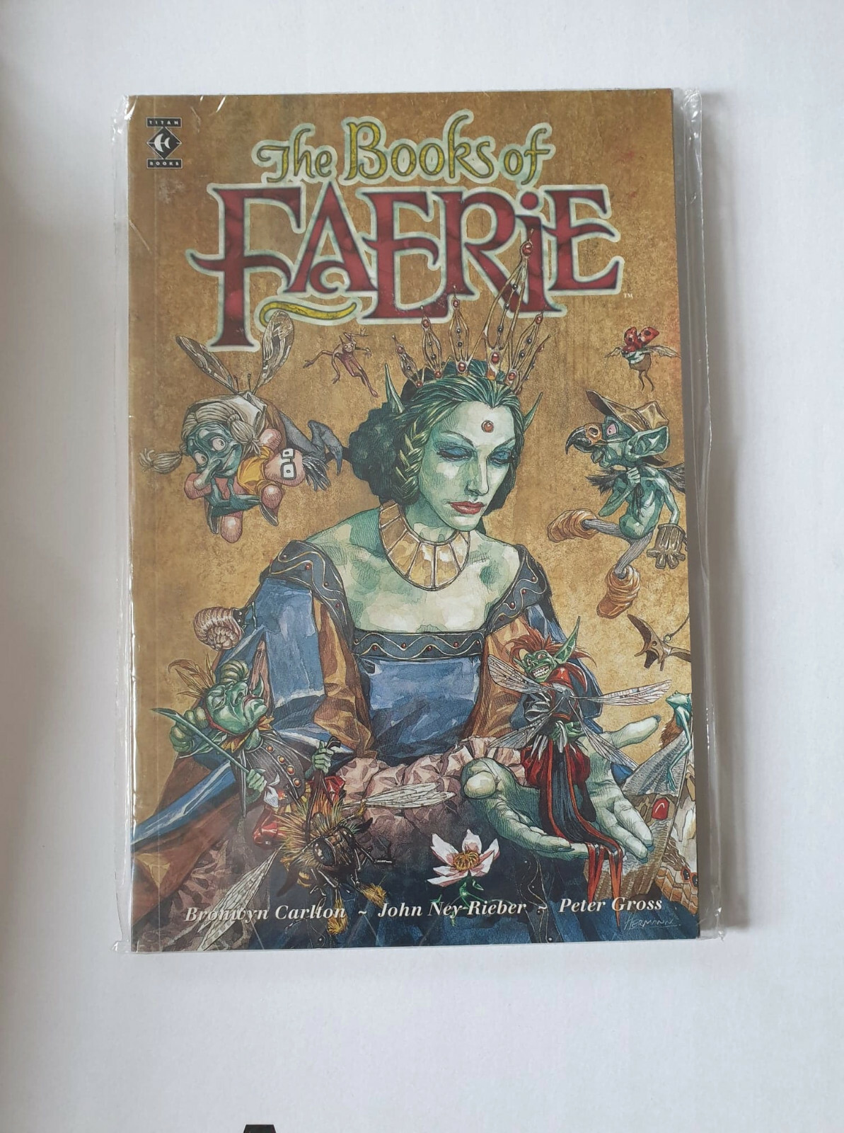 THE BOOK OF FAERIE - GRAPHIC NOVEL - New | eBay UK