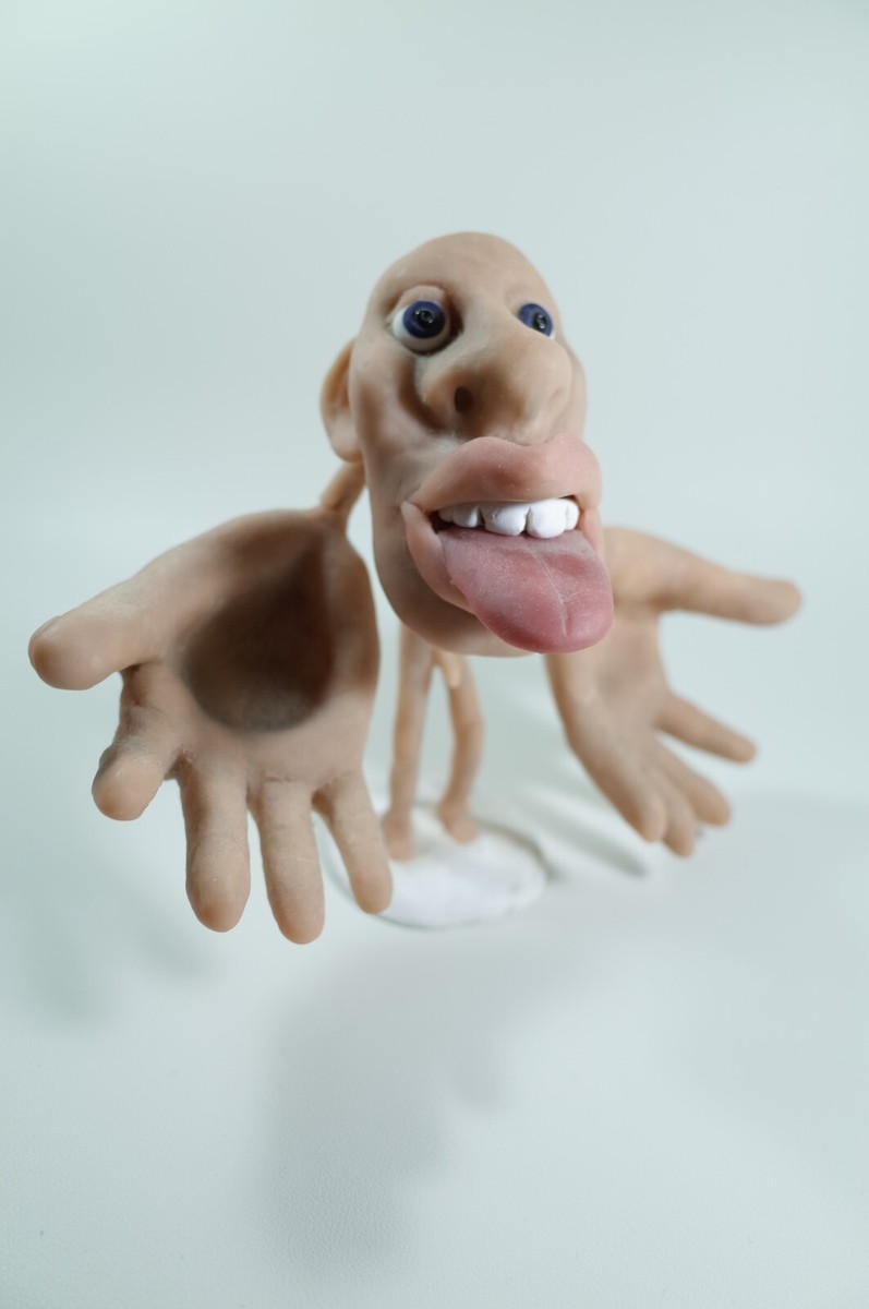 Sensory Homunculus Model - Infoupdate.org