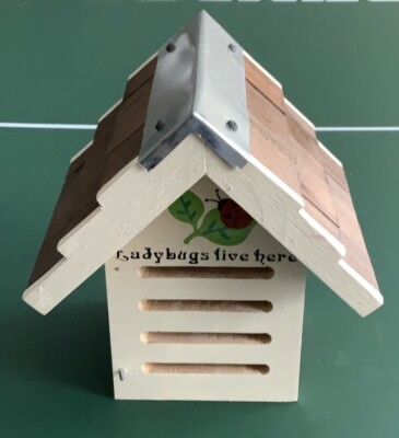 Ladybug House Brand New Never Used With Instructions | eBay