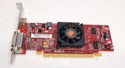 AMD Radeon HD 8350 1GB DDR3 PCI-E x16 Low Profile Desktop Video Card | eBay