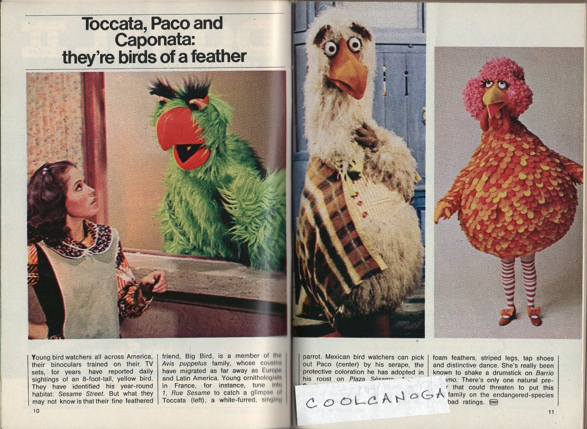 Plaza Sesamo Spanish