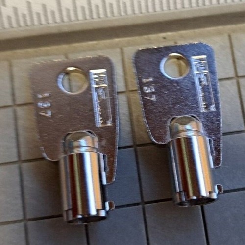 set of 2 replacement keys cut to your 2001-2100 SENTRY SAFE Tubular ...