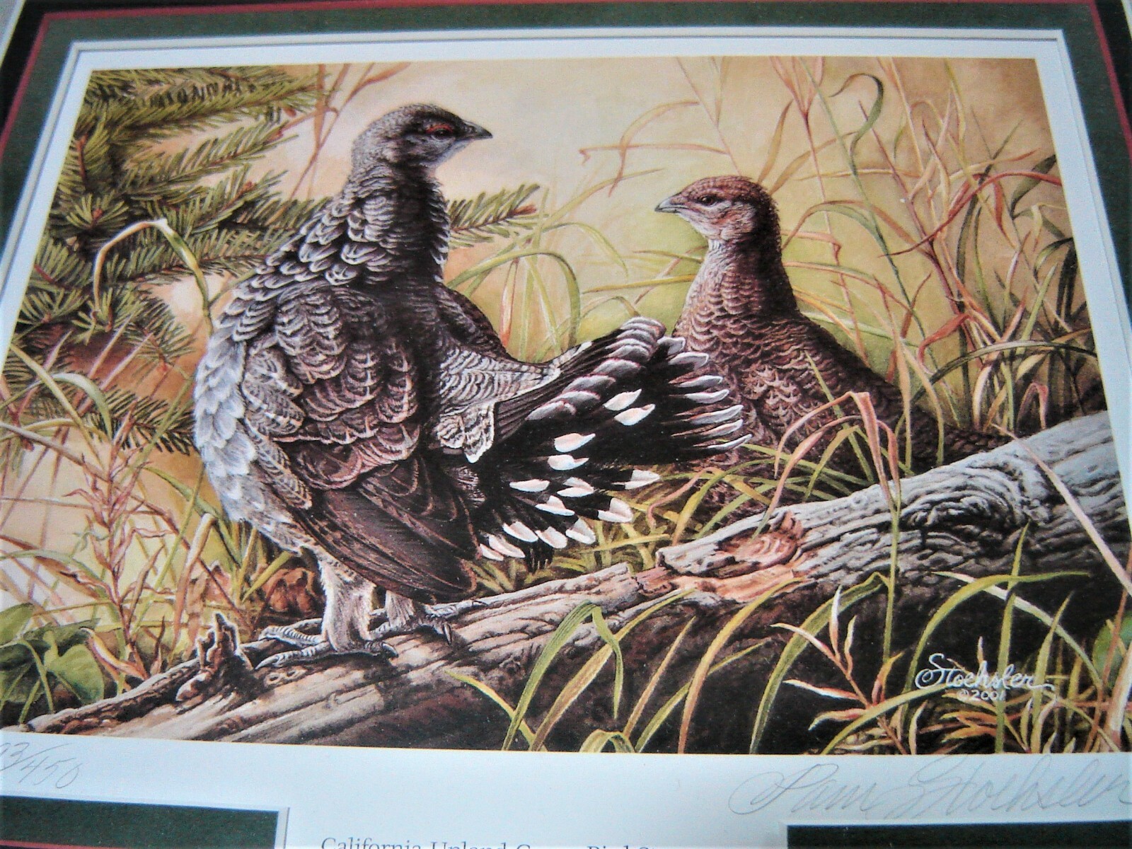 2002-2003 California Upland Game Bird Stamp Print, Pam Stoehsler | eBay