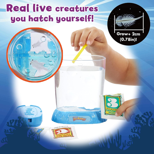 The Original - Ocean Zoo - Grow Your Own Pets Science Kit- Includes ...