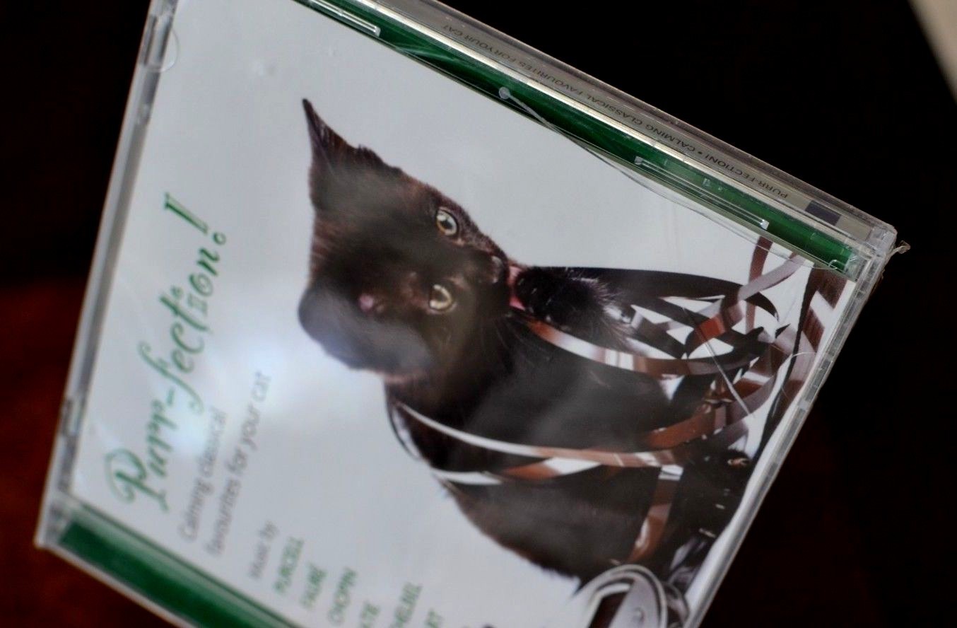 Purr-fection! Calming Classical Favourites for Your Cat (CD, Jul-2013 ...