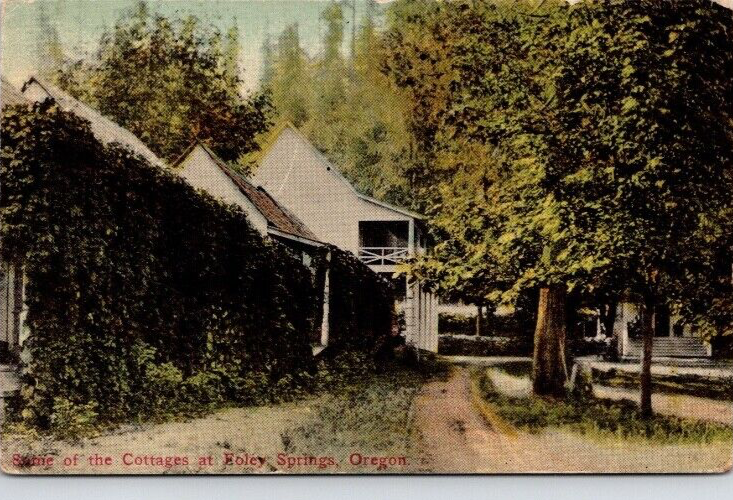 FOLEY SPRINGS, OREGON POSTCARD Some of the Cottages. Vine Covered ...