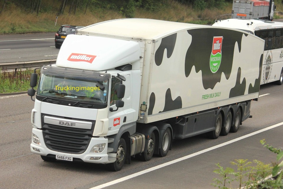 TRUCKINGIMAGES TRUCK PHOTOS - MILK TPT MULLER WISEMAN MMID TRUCKS - 250 ...