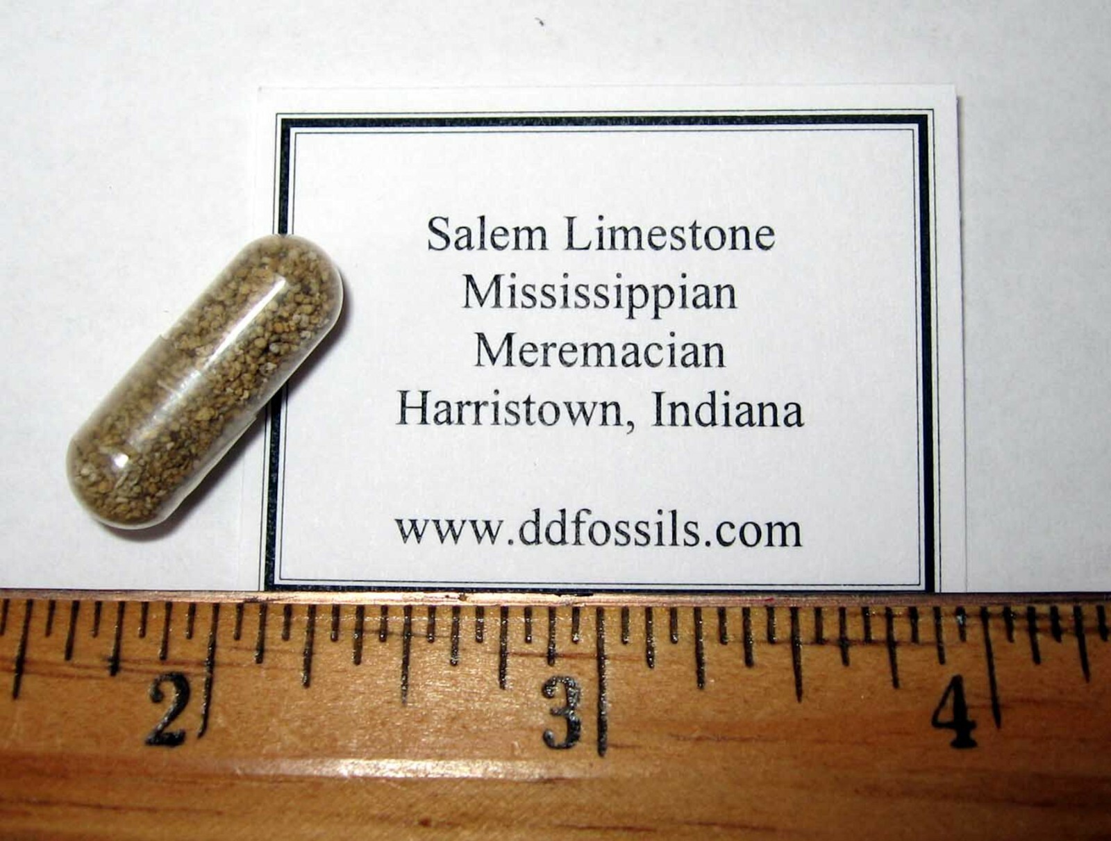Carboniferous Mississippian foraminifera microfossil matrix Salem Limestone RICH | eBay