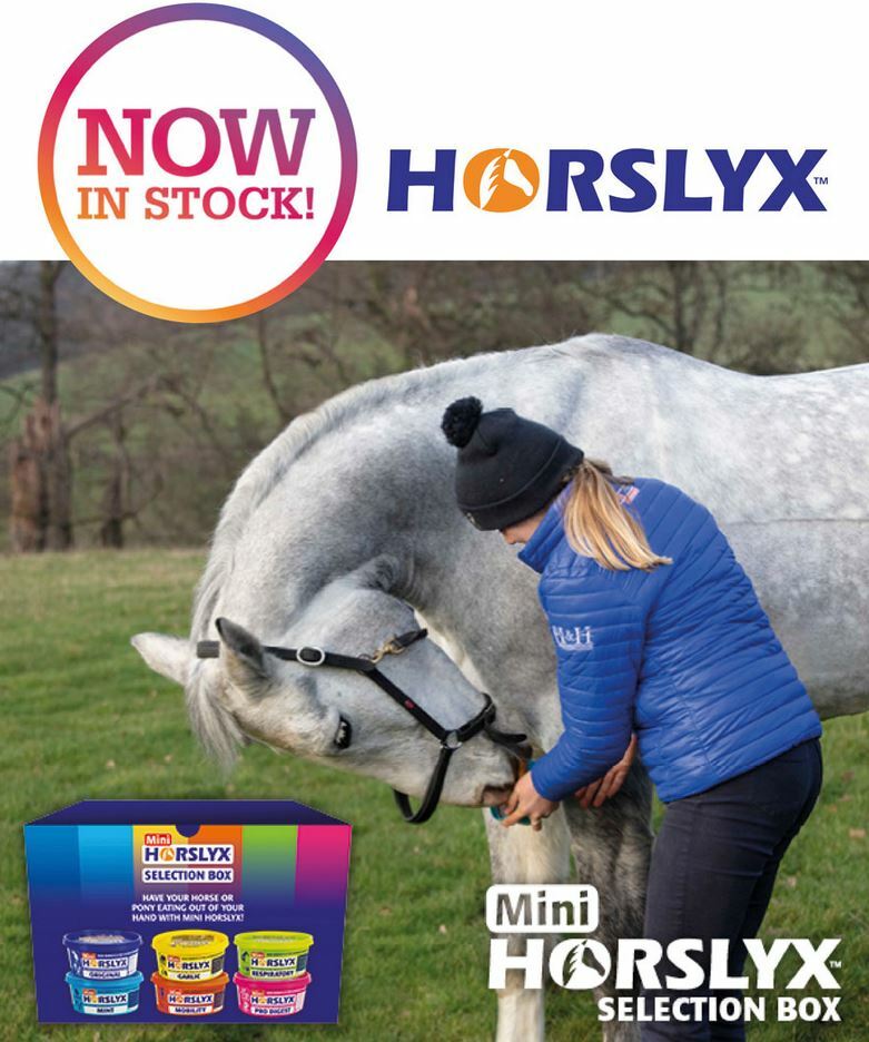 Horslyx MINI SELECTION BOX 6 Original/Mint/Respiratory/Garlic/Mobility ...