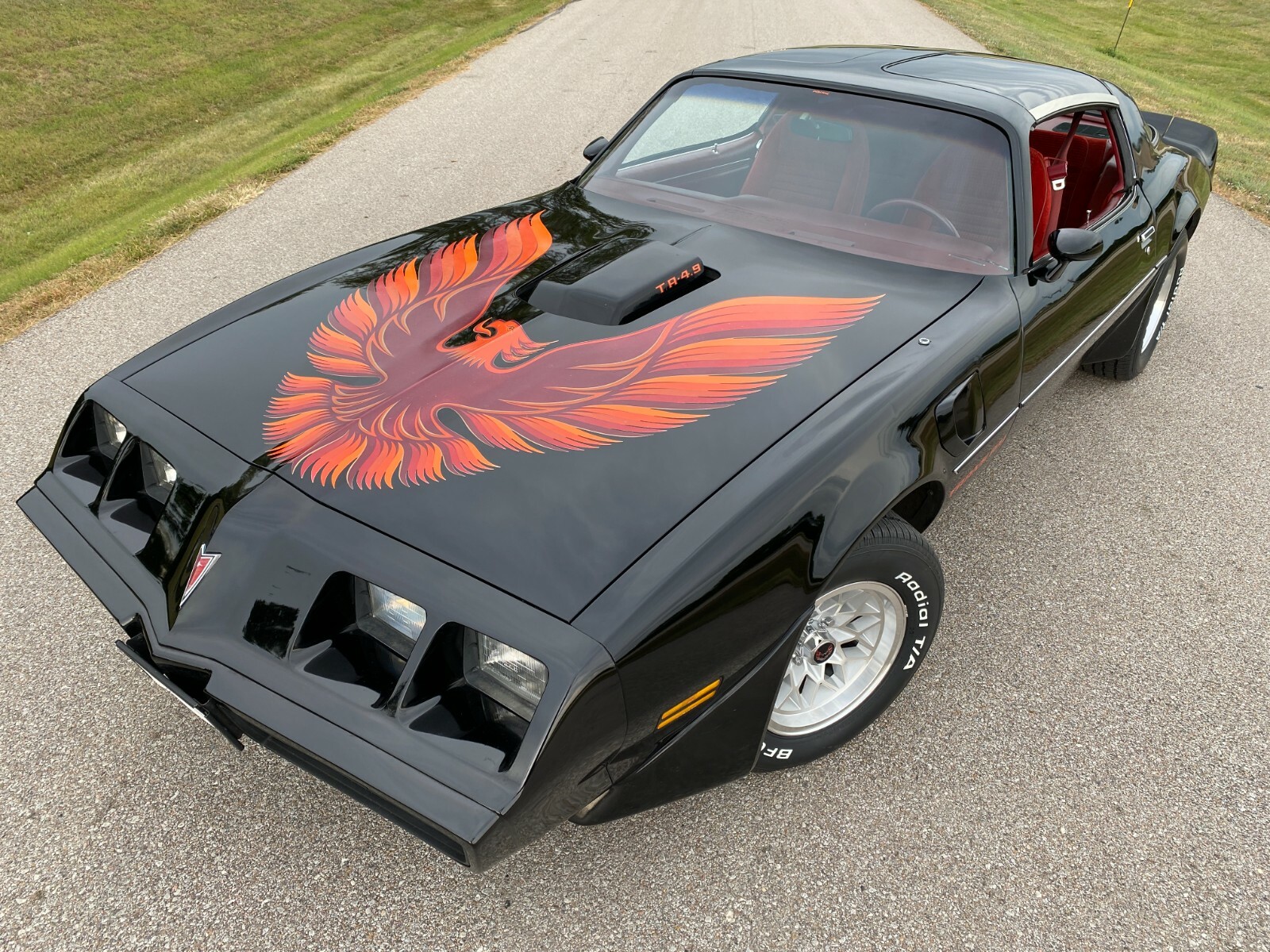1978-1980 Pontiac Firebird Trans Am Decals Kit with Hood Bird ...
