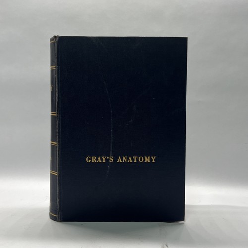 Gray S Anatomy 28th Edition Anatomy Of The Human Body Vintage Henry