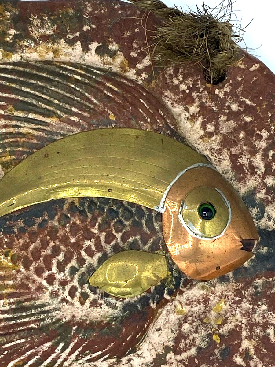 Rare Fish Found In Mexico