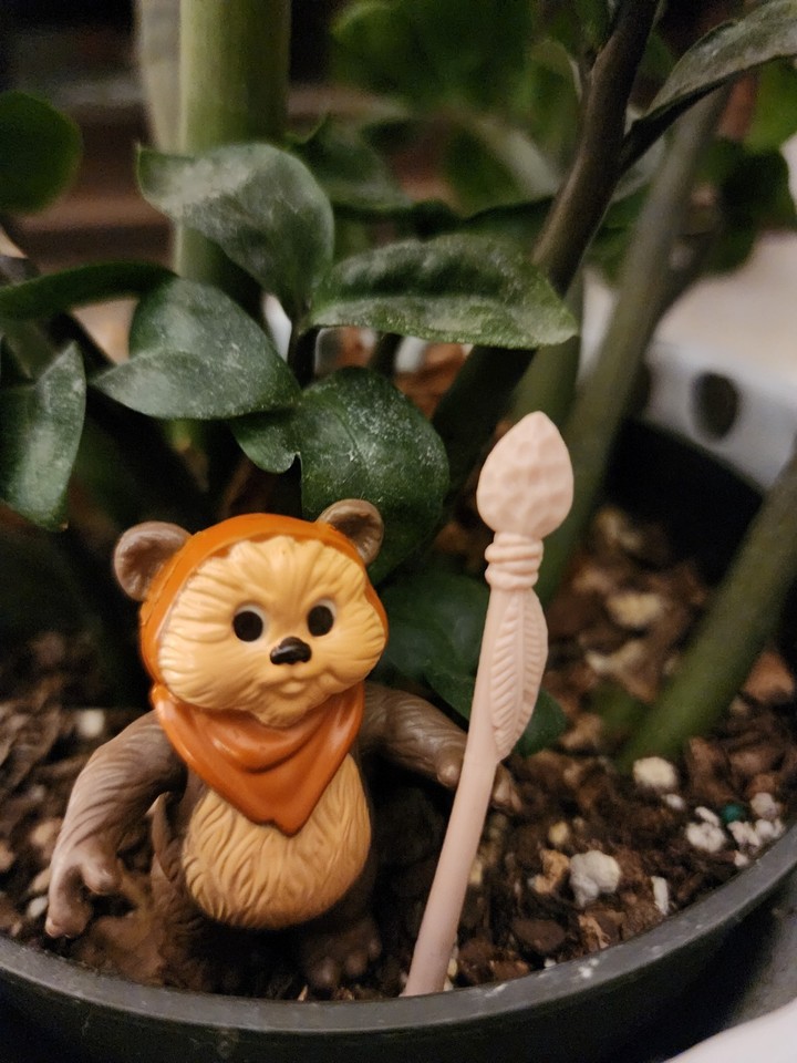 Star Wars Ewoks Cartoon Wicket w/ Coin And Stick 1985 Kenner | eBay