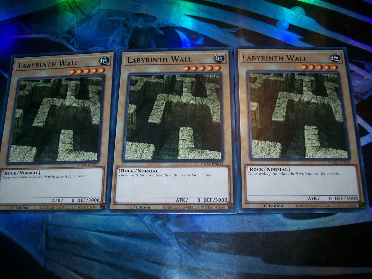 Yu Gi Oh Labyrinth Wall