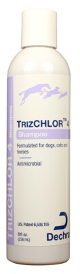 TrizCHLOR 4 Shampoo (8 oz) | eBay