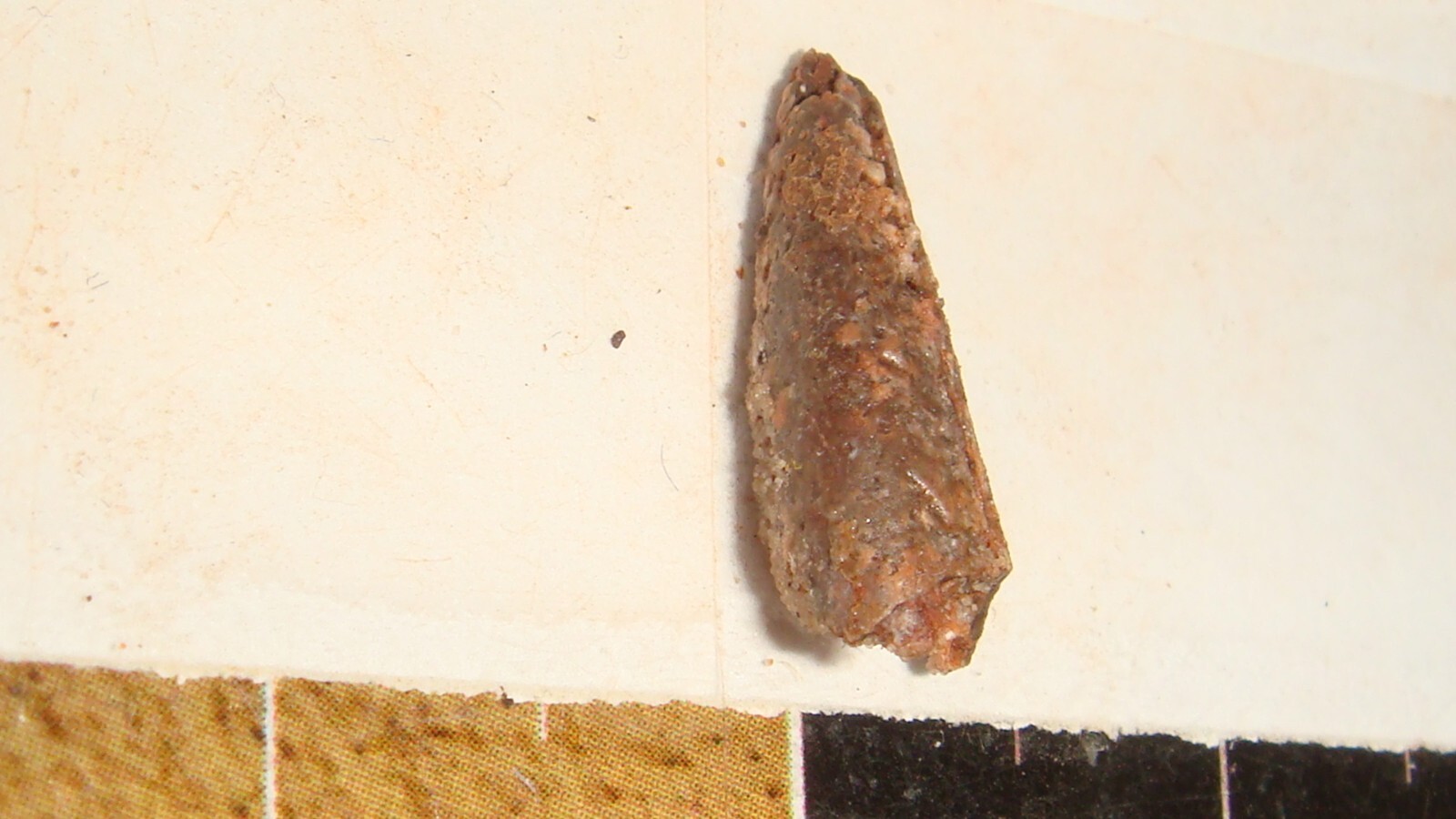 GAR-6 Dinosaur Age Morocco Bone Claw Possible Small Dromaeosaur ...