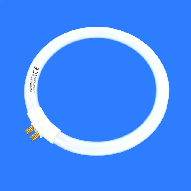 T4 12 Watt Circular Fluorescent Light Bulb | Shelly Lighting