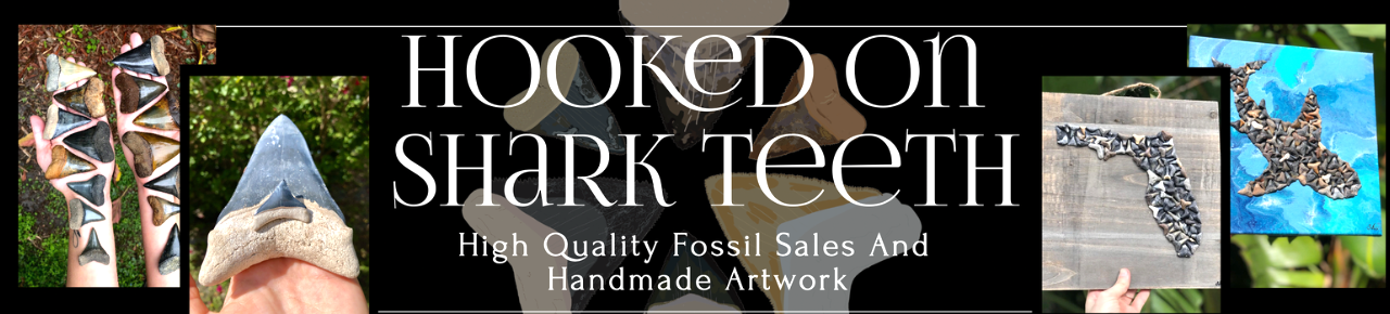 Hooked On Shark Teeth | eBay Stores