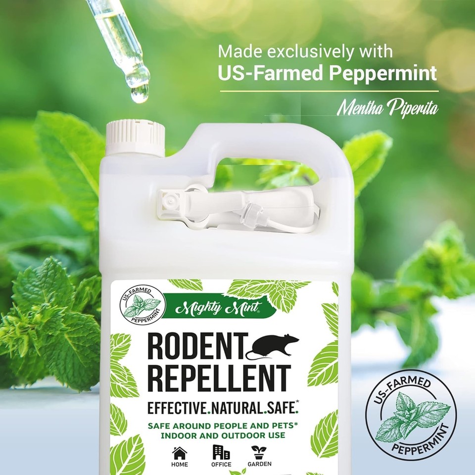 Mighty Mint 1 Gallon Mice Rat Rodent Repellent Spray, All Natural ...