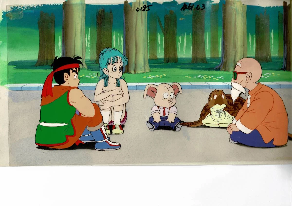 Master Roshi And Launch