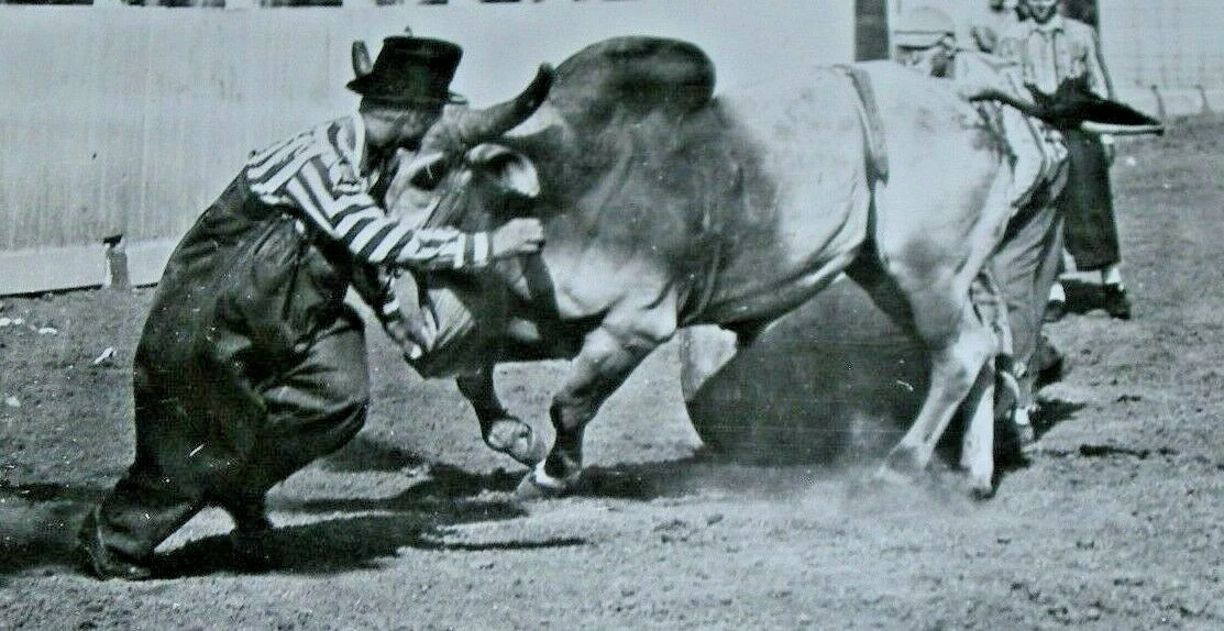 Rodeo Bullfighter