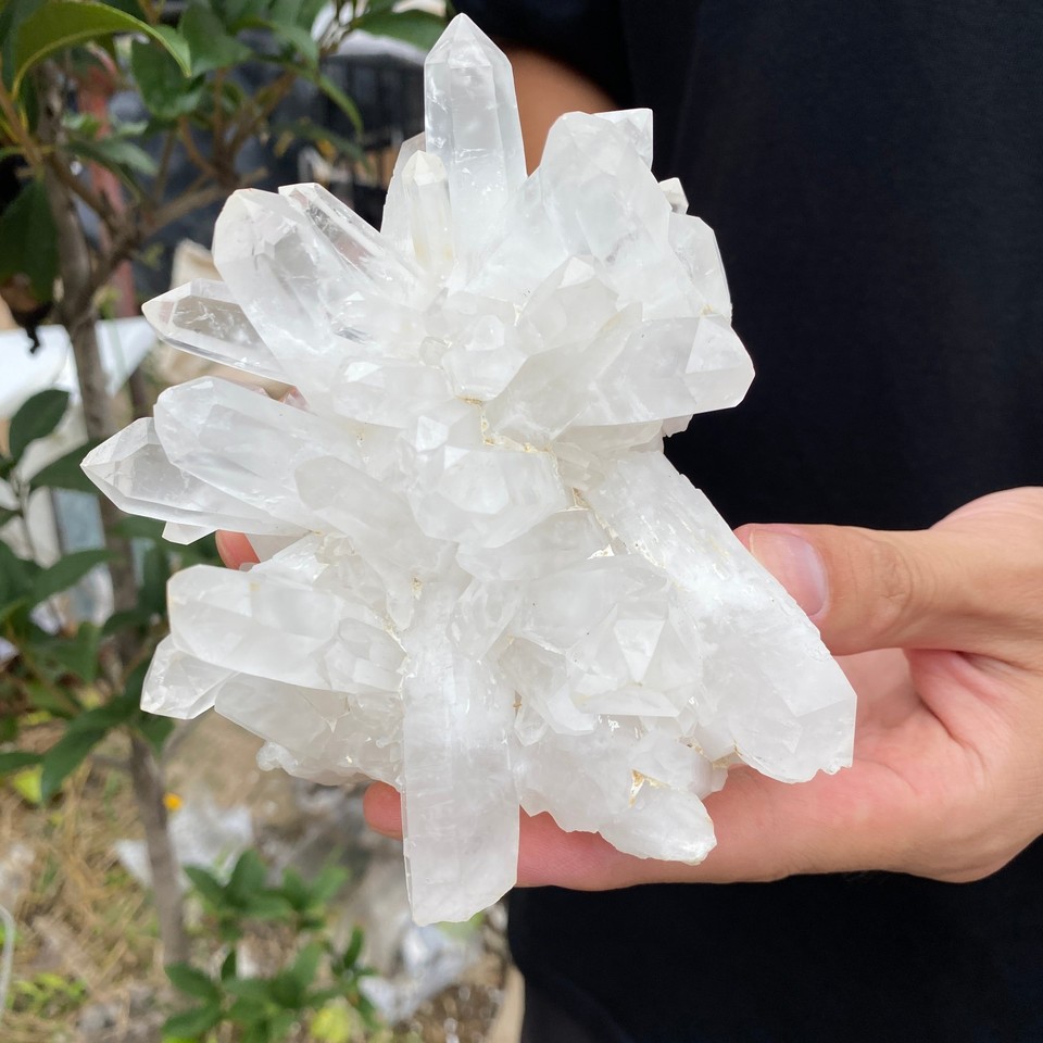 1.6lb Natural Clear White Quartz Crystal Cluster Rough Healing Specimen ...