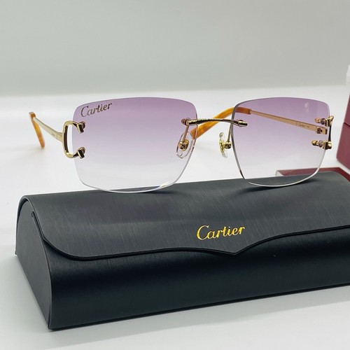 Cartier Big C Piccadilly Gold Sunglasses - Gold/Purple (CT00920 ...