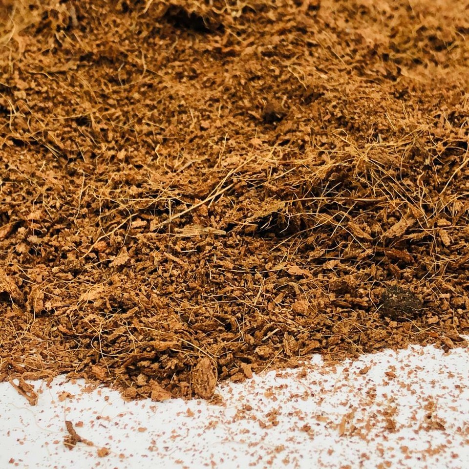 COCO COIR PEAT NATURAL ORGANIC COMPOST HYDROPONIC GROWING MEDIA COCONUT ...