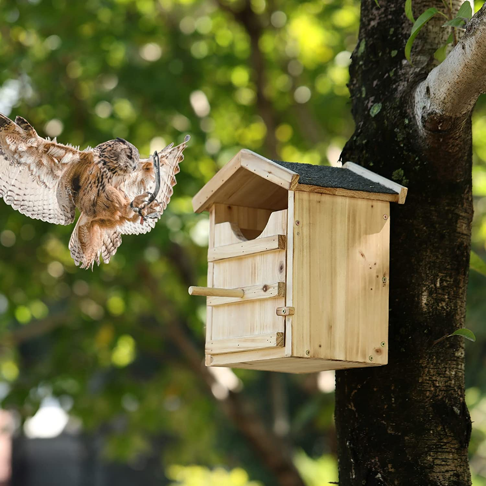Owl House Owl Box Owl Boxes for outside Screech Owl House with Bird ...