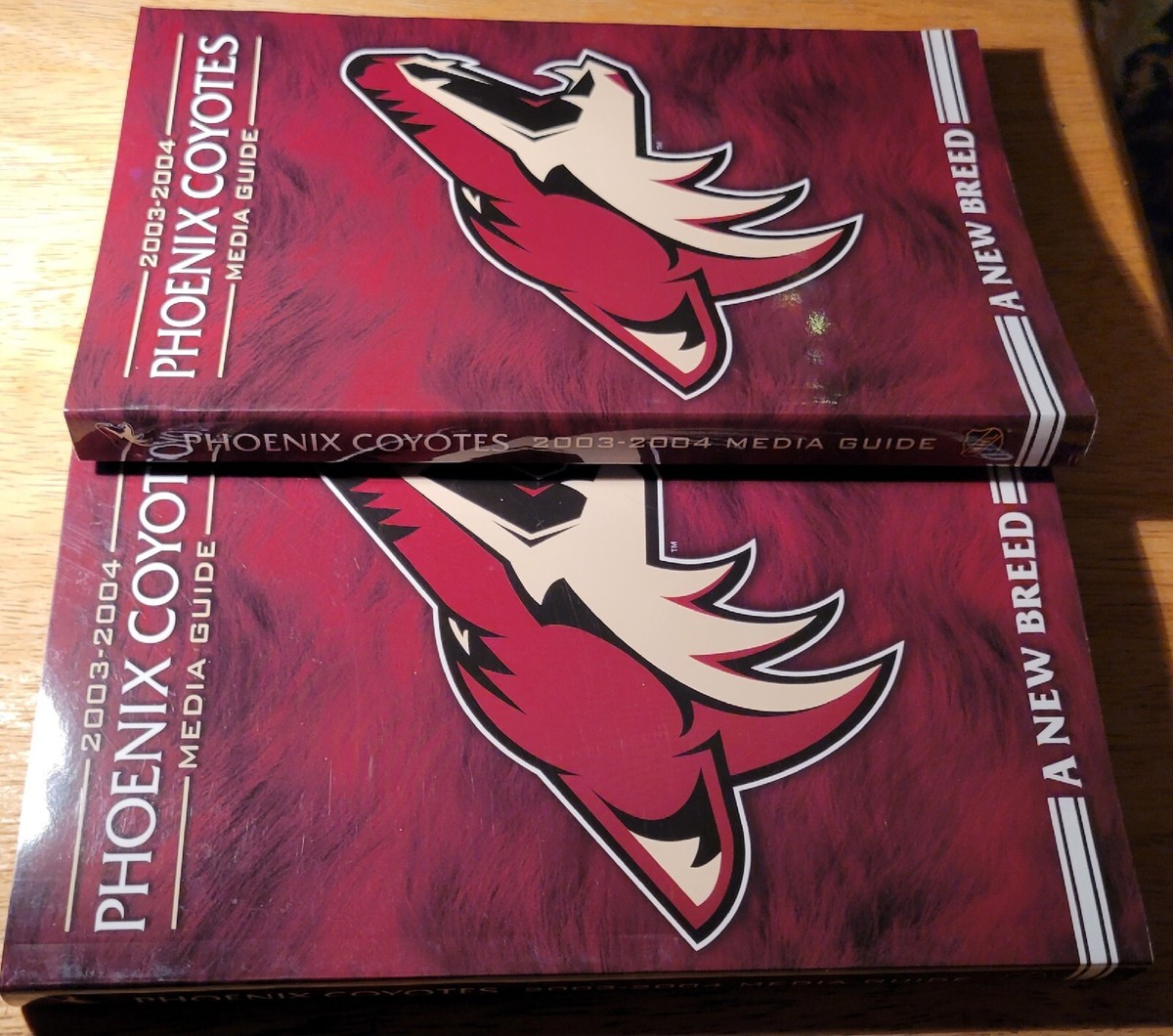 Phoenix Coyotes Wallpaper 9,832 Phoenix Coyotes For Vancouver Stock