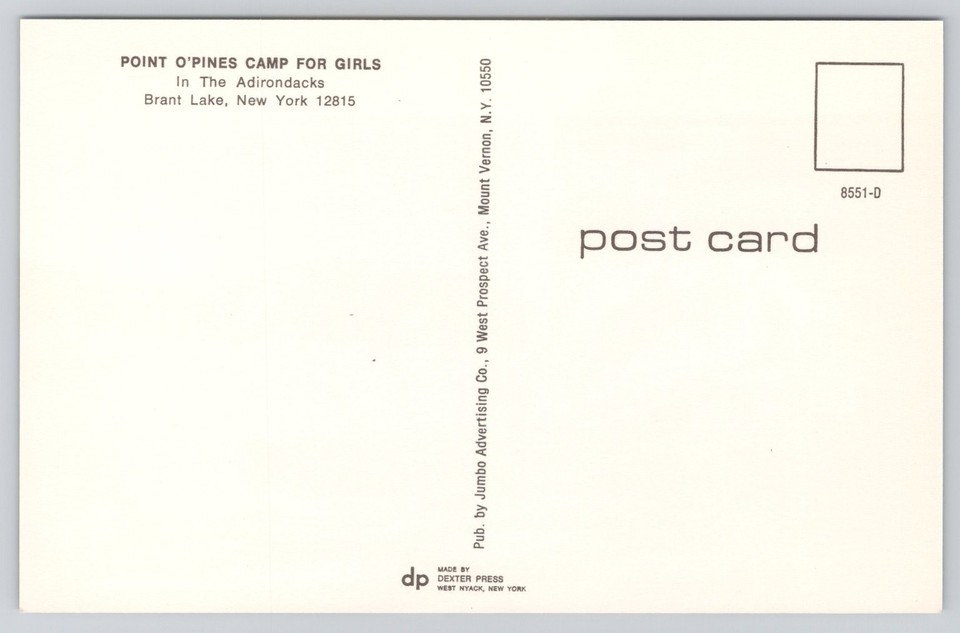 Vintage Point O'Pines Camp Brant Lake NY Adirondacks Sailboats Postcard ...