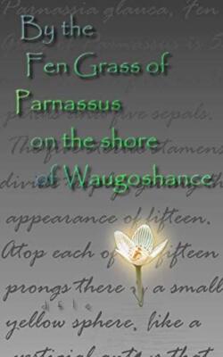 By the Fen Grass of Parnassus on the shore of Waugoshance (The Cut ...