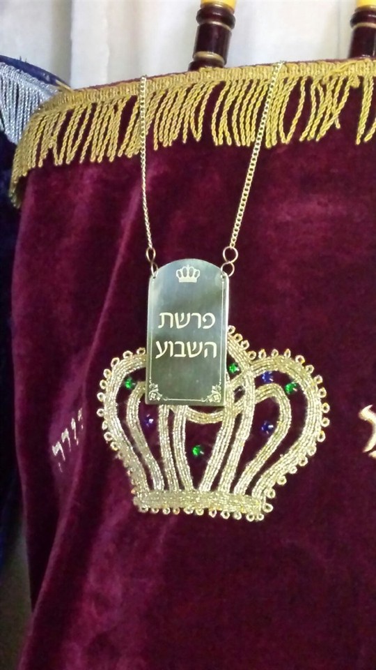 Sefer Torah Medallion Torah Identifier | eBay