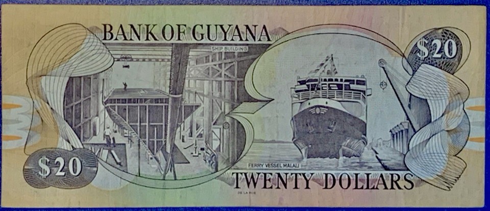 TWO NOTES BANK OF GUYANA & BANK OF QATAR / 20$ & 5QAR / 1996 & 2022 ...